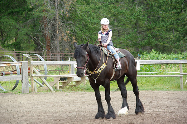 Okanagan Stables, Oyama - for a great horseback riding experience near ...