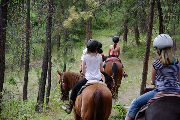 Okanagan Stables, Oyama - for a great horseback riding experience near ...