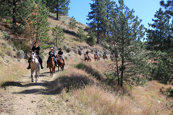 Okanagan Stables, Oyama - for a great horseback riding experience near ...