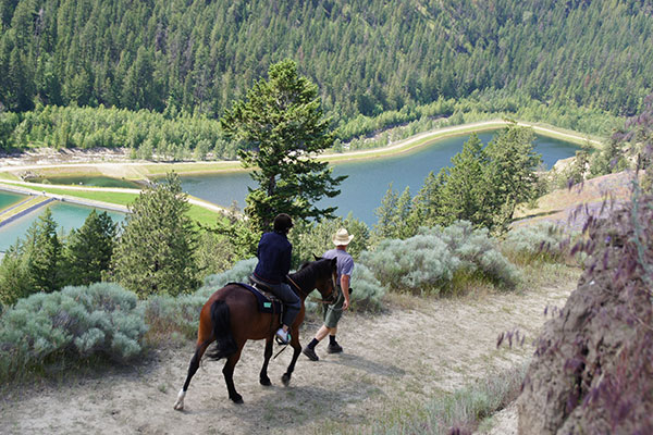 Okanagan Stables, Oyama - for a great horseback riding experience near ...